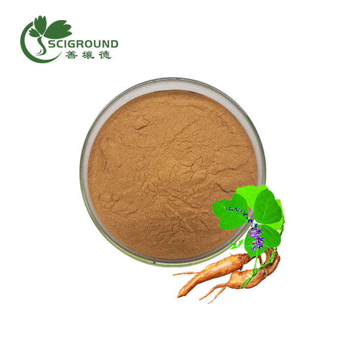 Wholesale Pueraria Lobata Powder Supplier - Bulk Puerarin Powder
