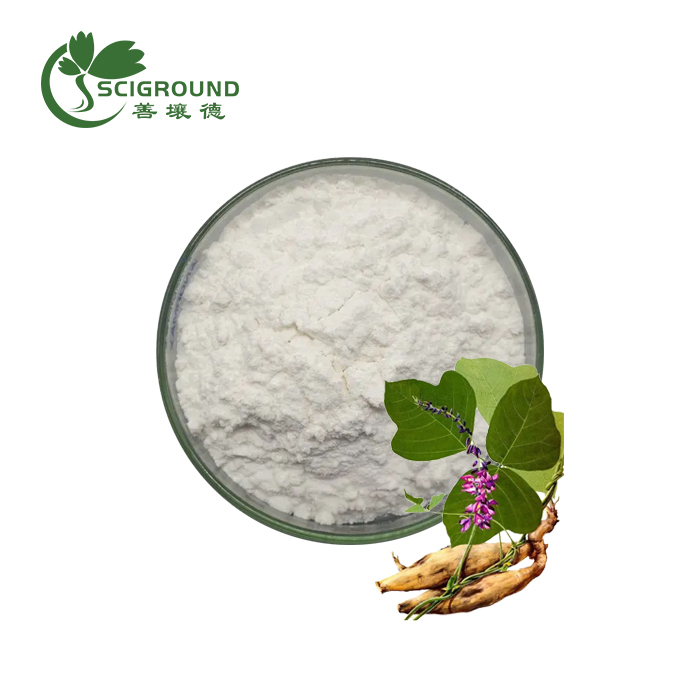 Wholesale Pueraria Lobata Powder Supplier - Bulk Puerarin Powder