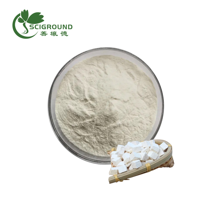 Wholesale Pueraria Lobata Powder Supplier - Bulk Puerarin Powder